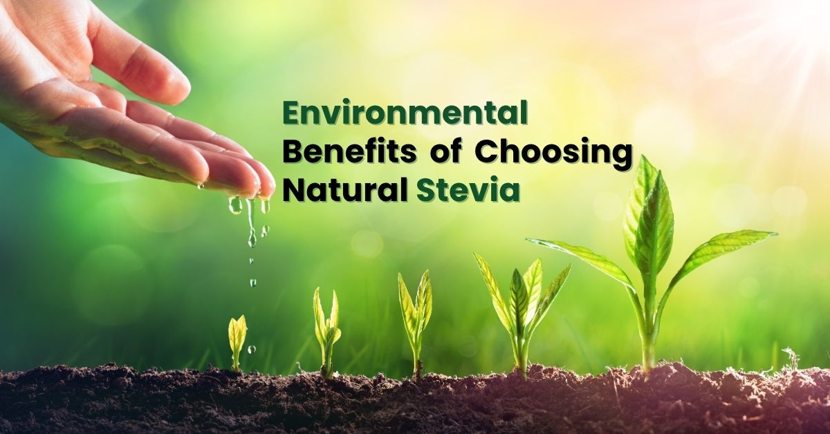 The Environmental Benefits of Choosing Natural Stevia Over Sugar – Zindagistevia